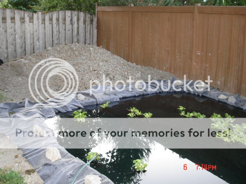 My almost done 3000 G Pond picture progress | Garden Pond Forums