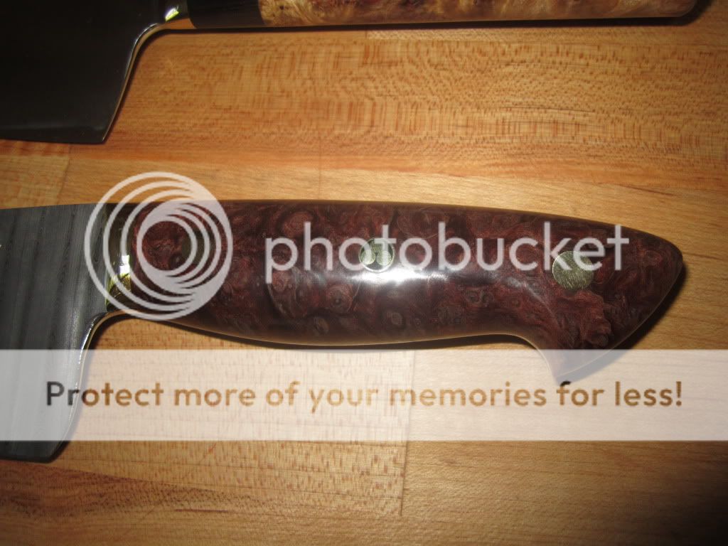 Anybody here have Shun kitchen knives? > General Discussion > AR15.COM